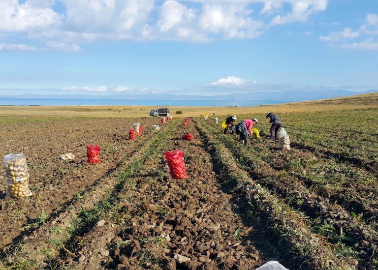 Ending Human Trafficking - Study the issues. Be a voice. Make a difference.